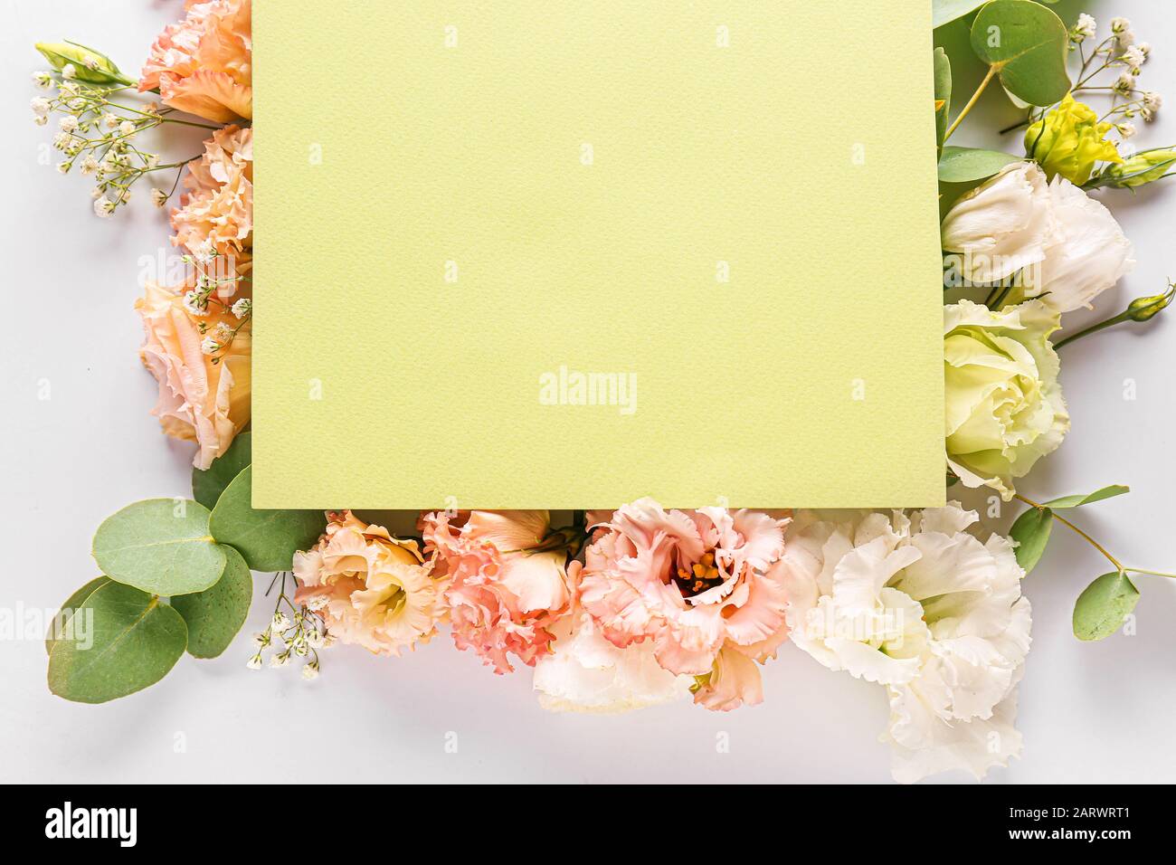 Beautiful composition with flowers and blank card on white background ...