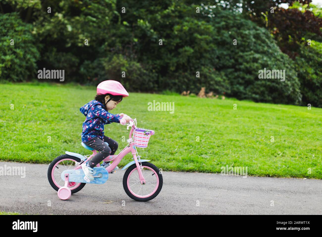 toddler girl riding bicycle in spring countryside park,Northern Ireland ...