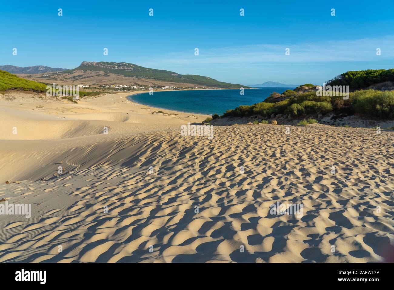 Bolonia medieval hi-res stock photography and images - Alamy