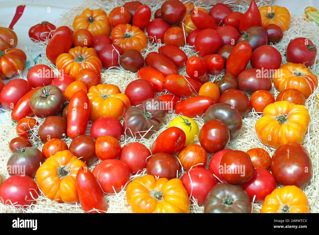 Big selection of tomato variety at farmers market Stock Photo - Alamy