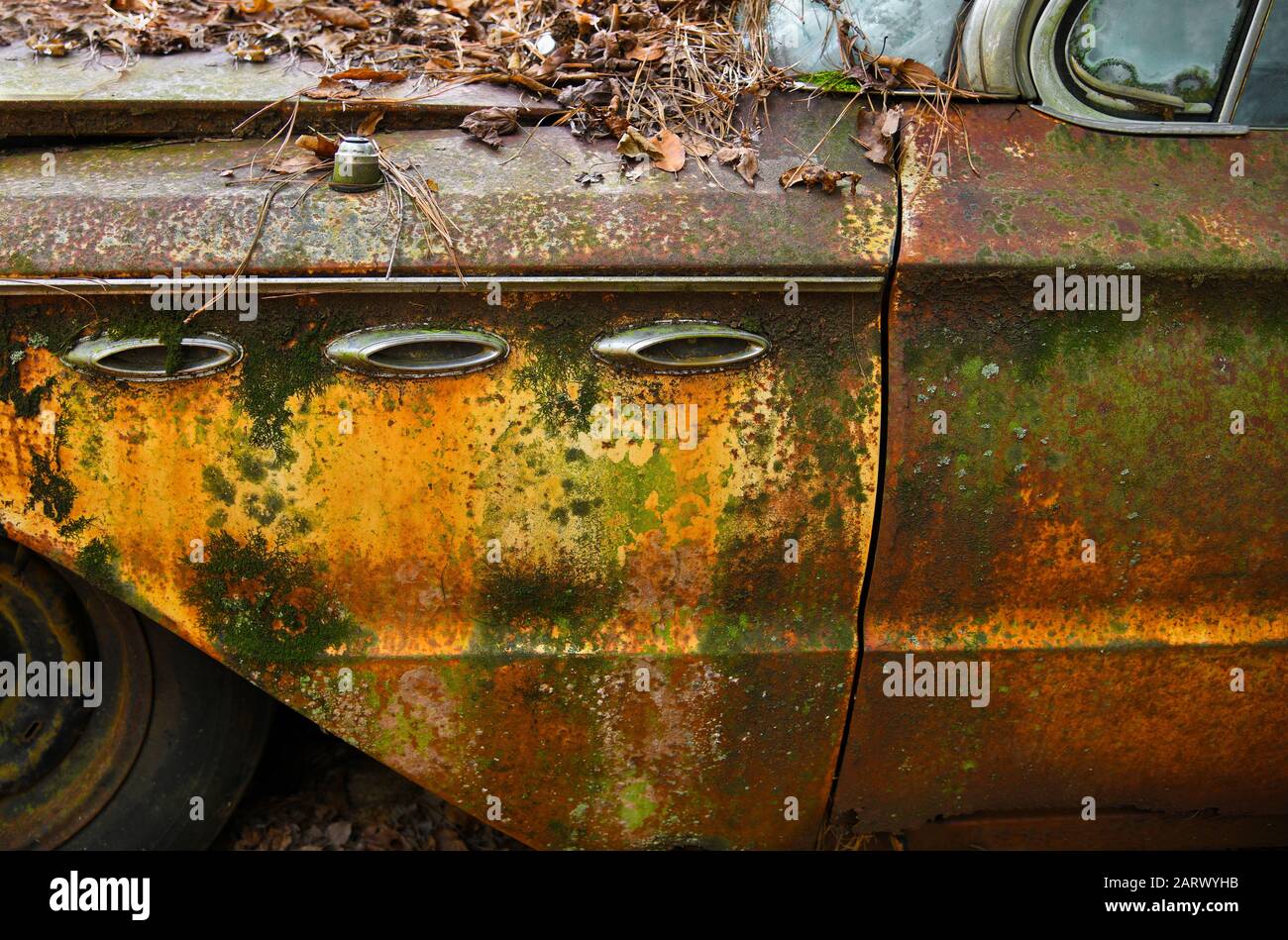 Close-up Image of the Side of an Old Rusted Car in a Junk Yard Stock ...