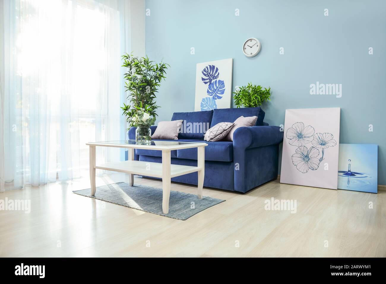 Various beautiful houseplants in different hi-res stock photography and ...