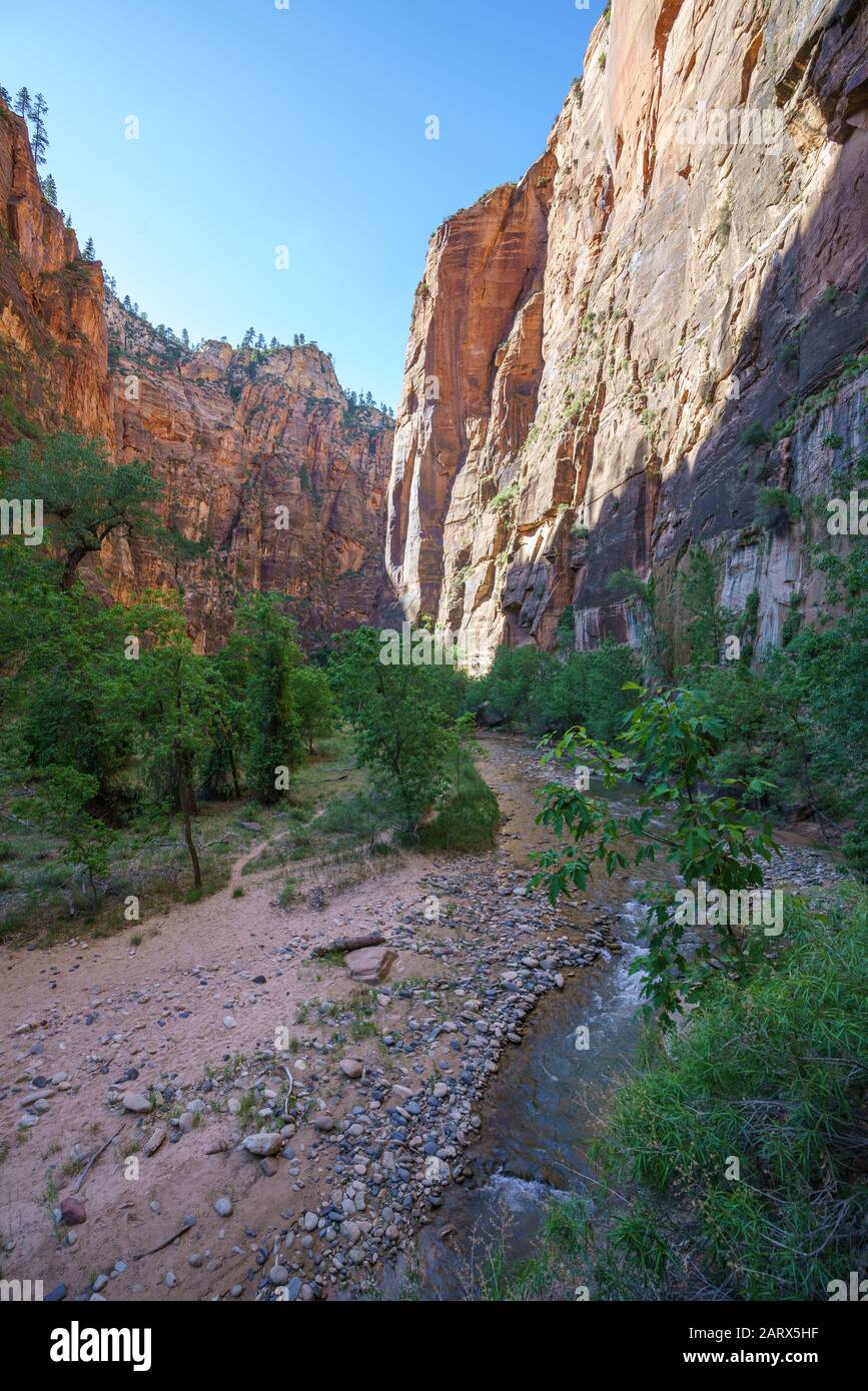 hiking the riverside walk in zion national park in utah in the usa ...