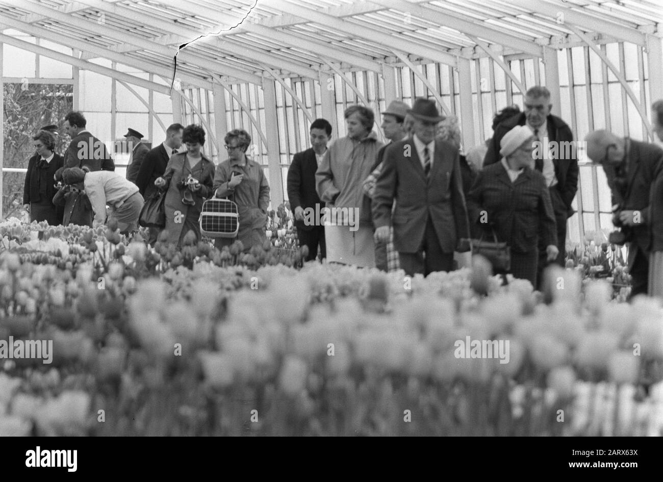 Spring in the city children Date: April 8, 1969 Stock Photo - Alamy