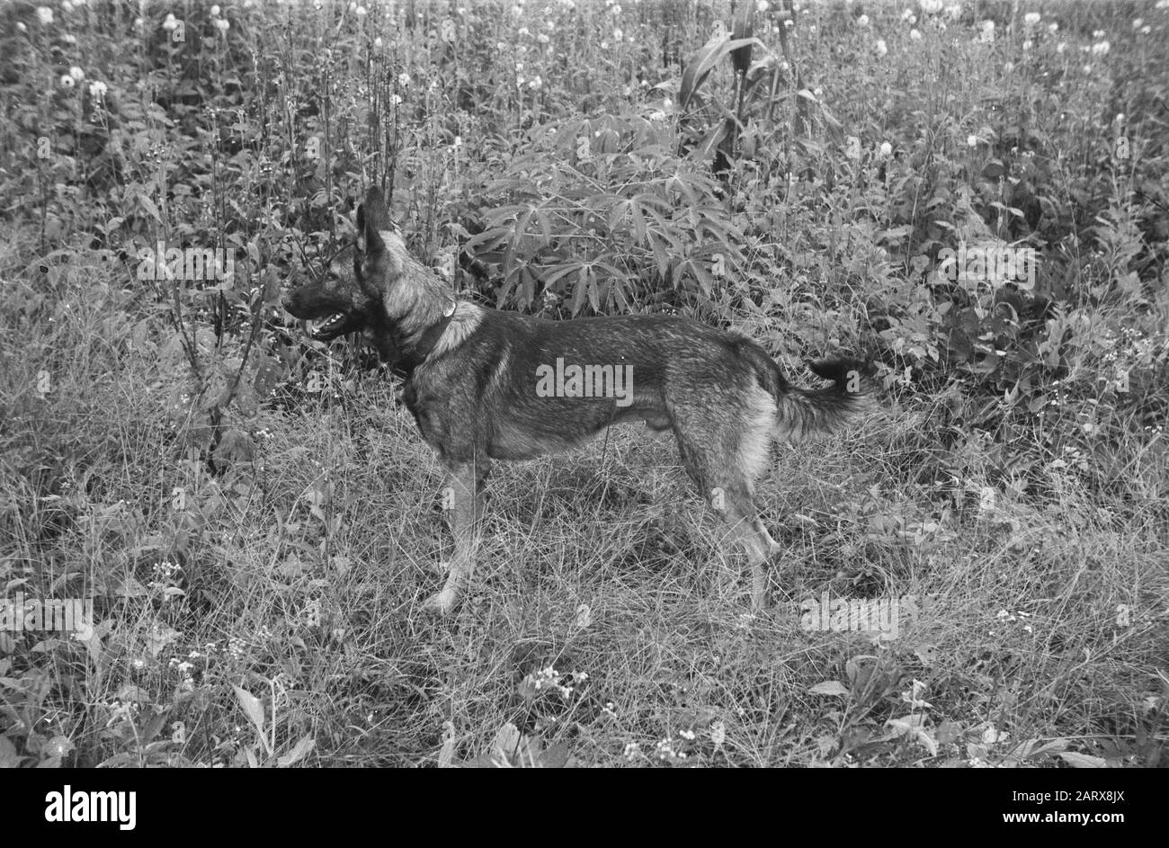 Division chapel Black and White Stock Photos & Images - Alamy