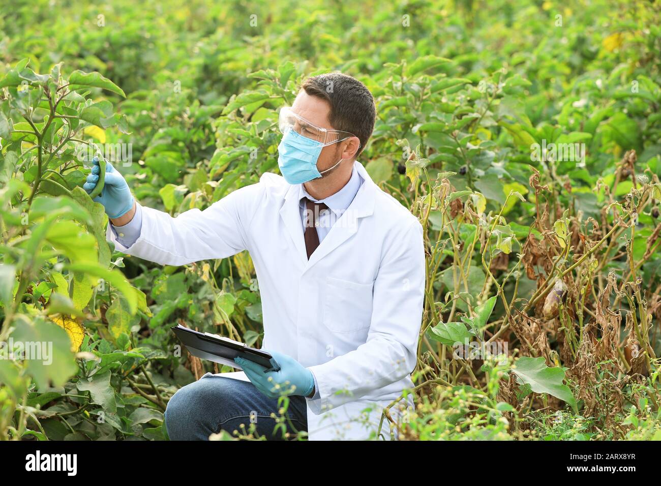 Laboratory coat outdoors hi-res stock photography and images - Alamy