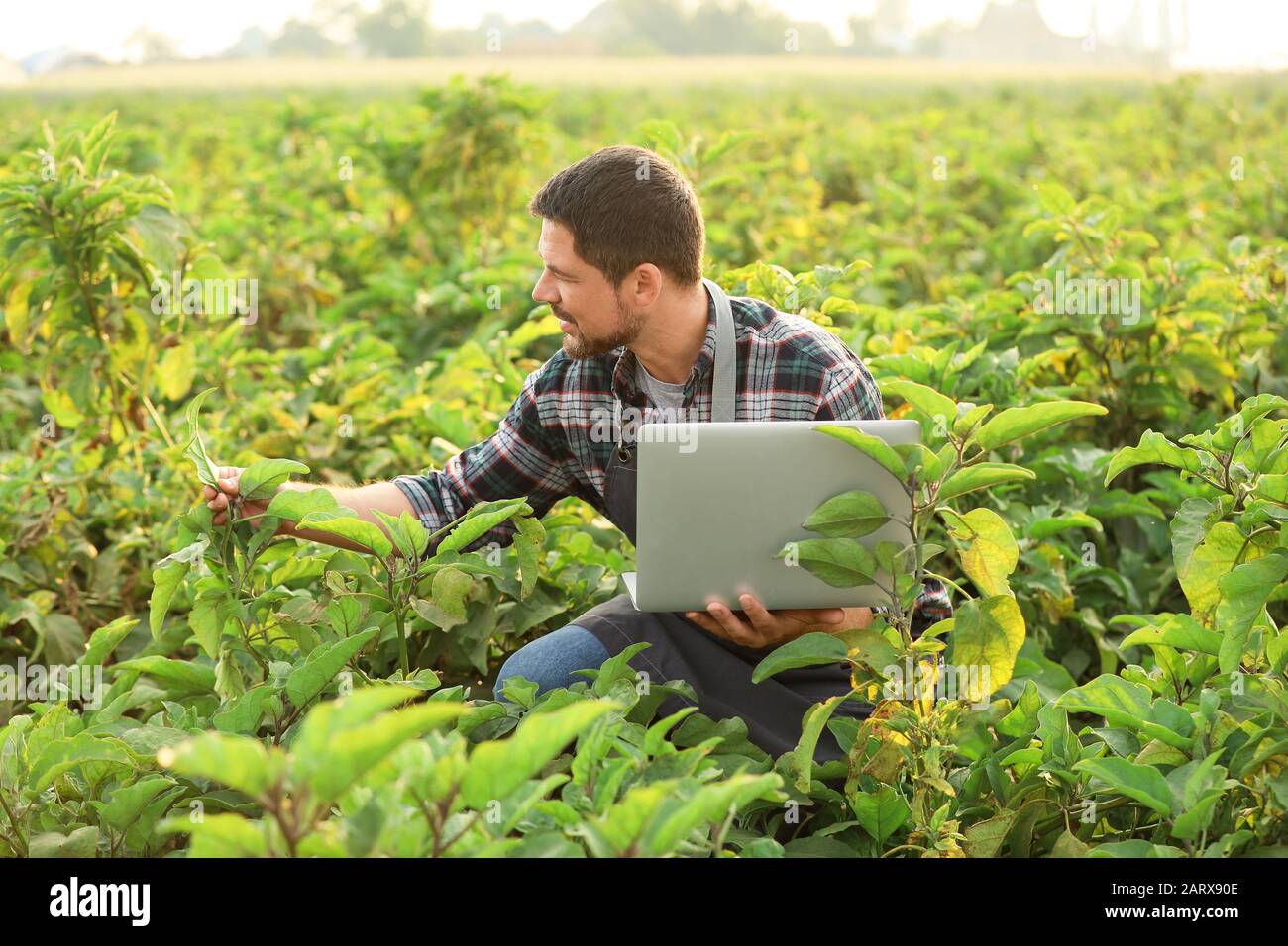 Agricultural engineer hi-res stock photography and images - Alamy
