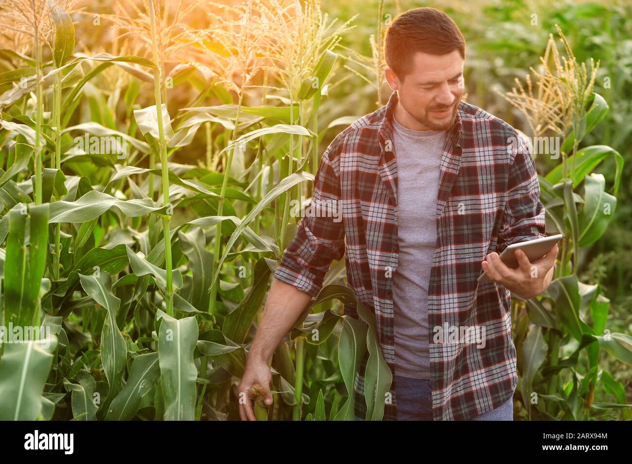Agricultural Engineer High Resolution Stock Photography and Images - Alamy