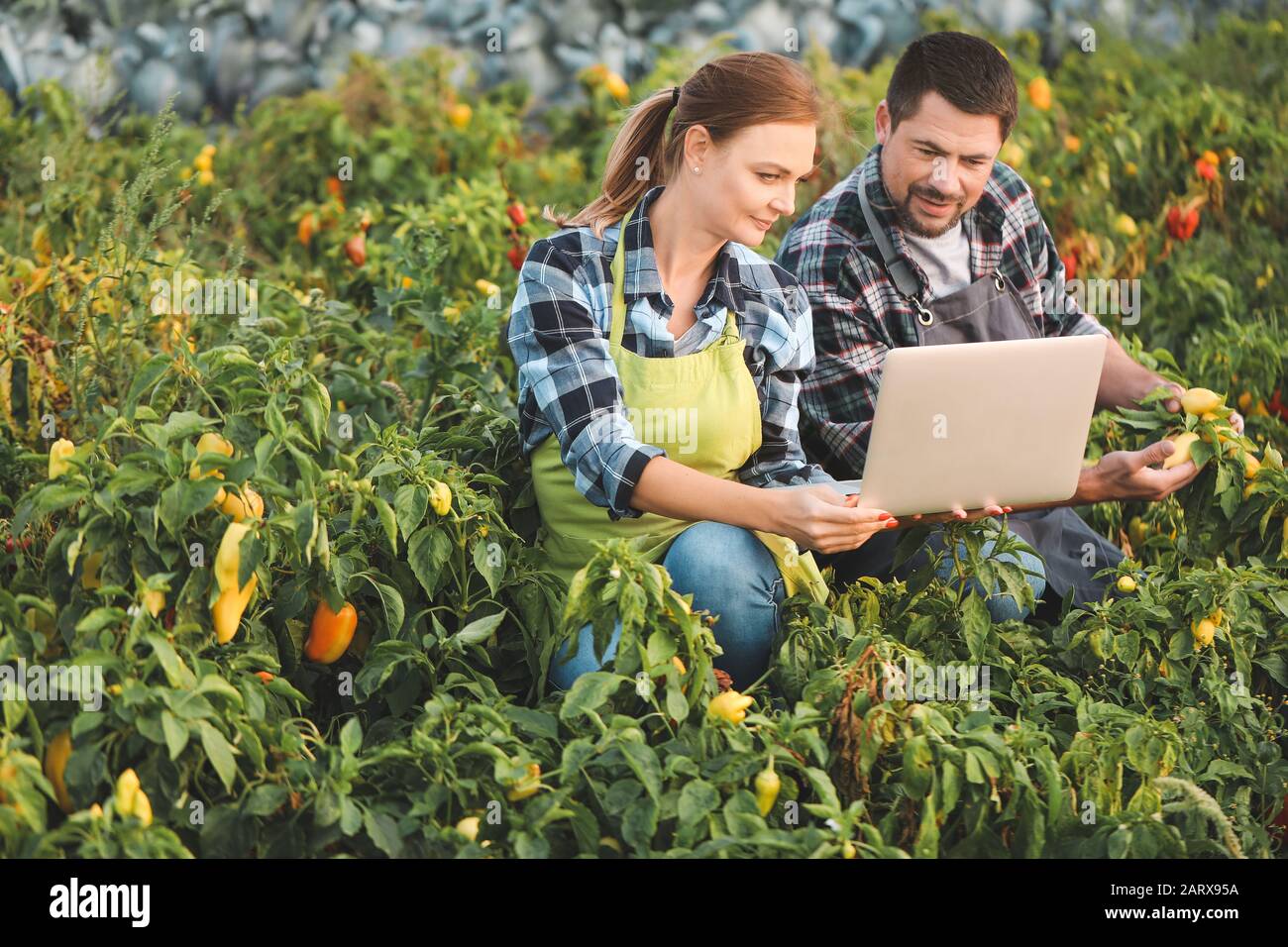 Engineers studying hi-res stock photography and images - Alamy