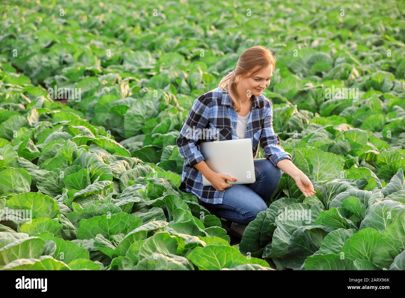 Female agricultural engineer working in field Stock Photo - Alamy