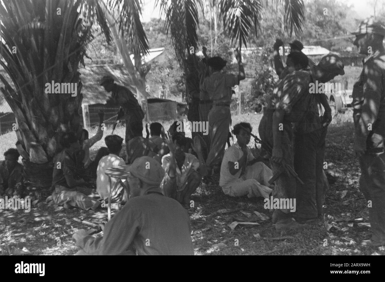 Palm tree dutch east indies hi-res stock photography and images - Alamy