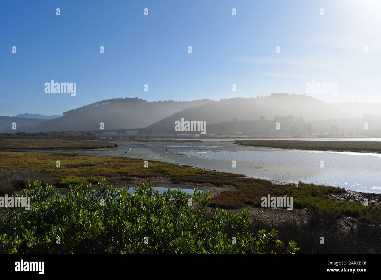 Environment estuary hi-res stock photography and images - Alamy