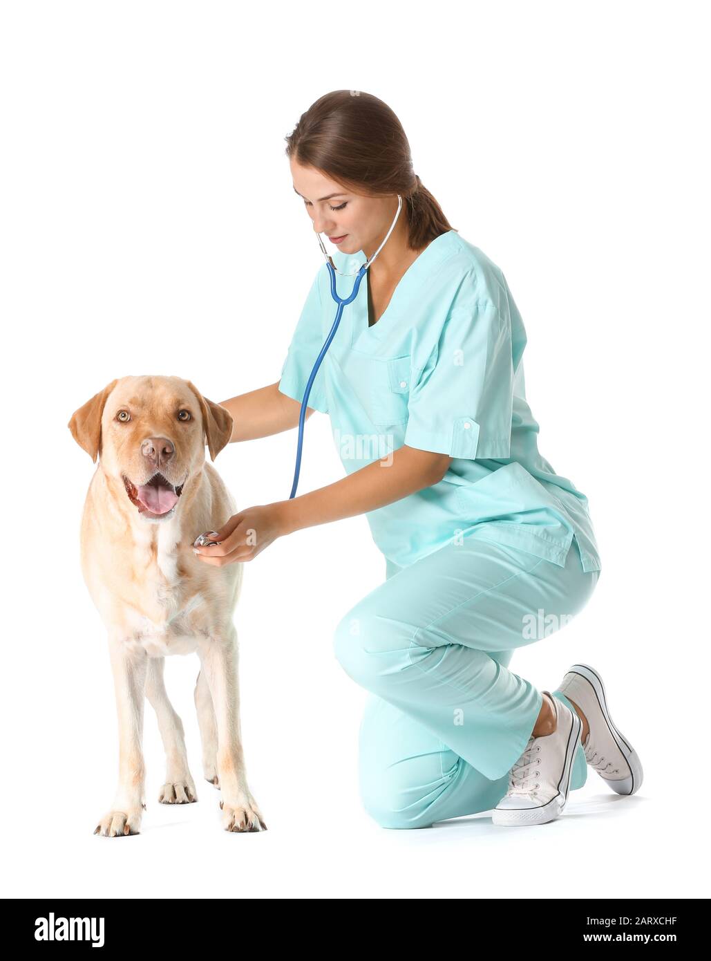 Cute Veterinarian Pictures