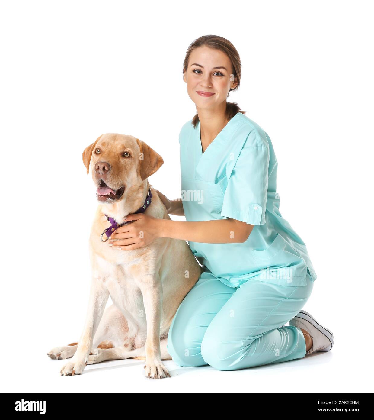 Veterinarian with cute dog on white background Stock Photo - Alamy