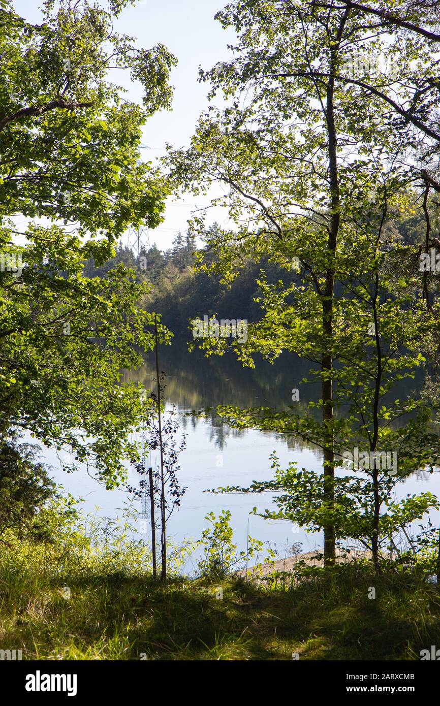 water surface of a small lake in Sweden Stock Photo - Alamy