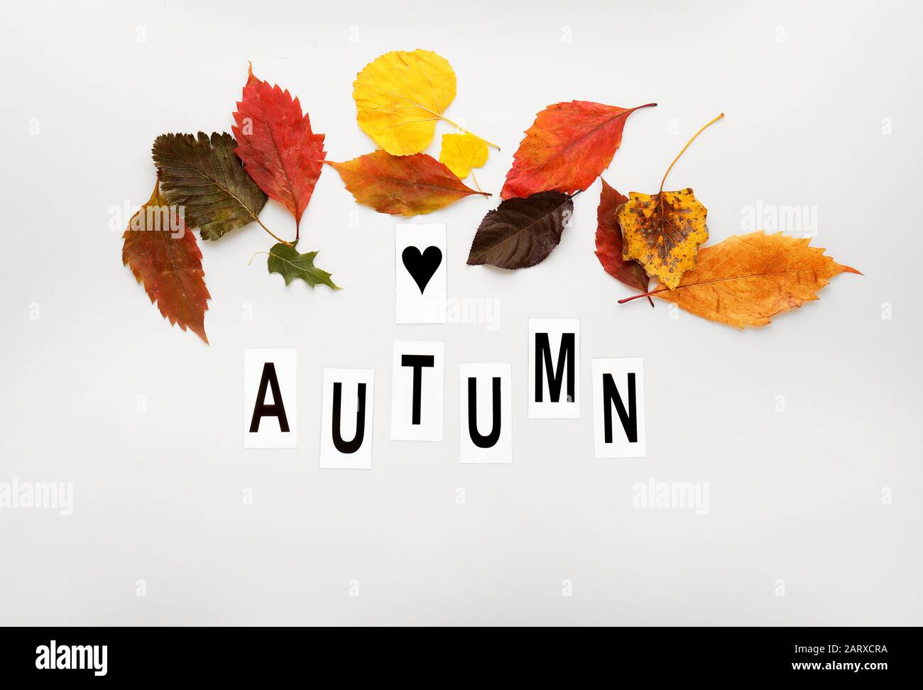 Colorful leaves and word AUTUMN on white background Stock Photo - Alamy
