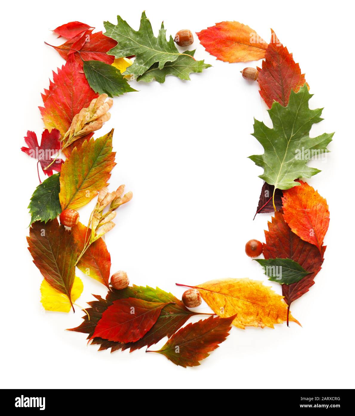 Frame made of beautiful autumn leaves on white background Stock Photo ...