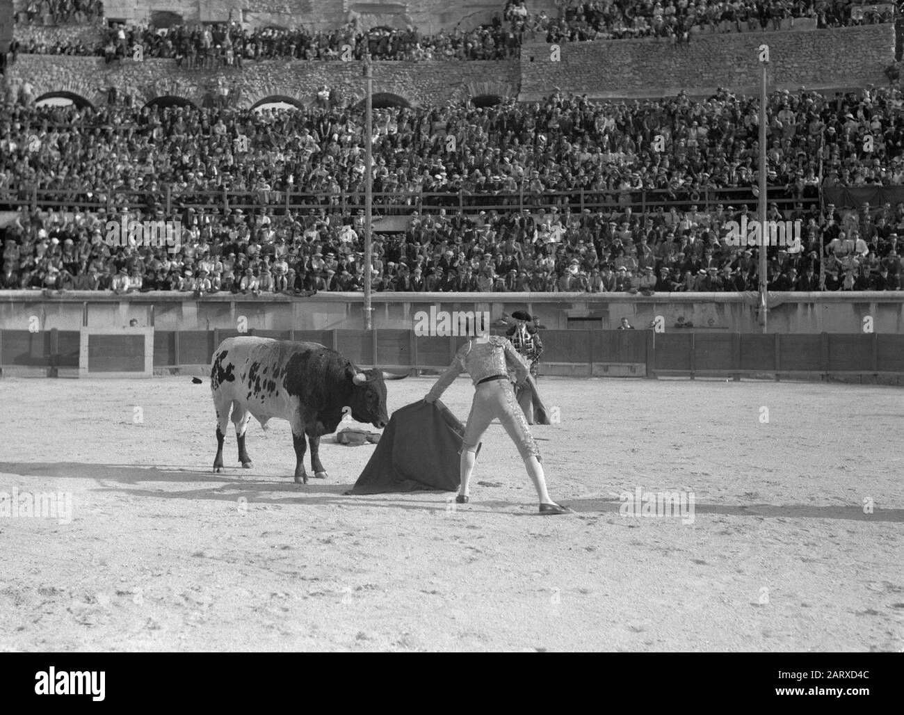 Bull fighting sword Black and White Stock Photos & Images - Alamy