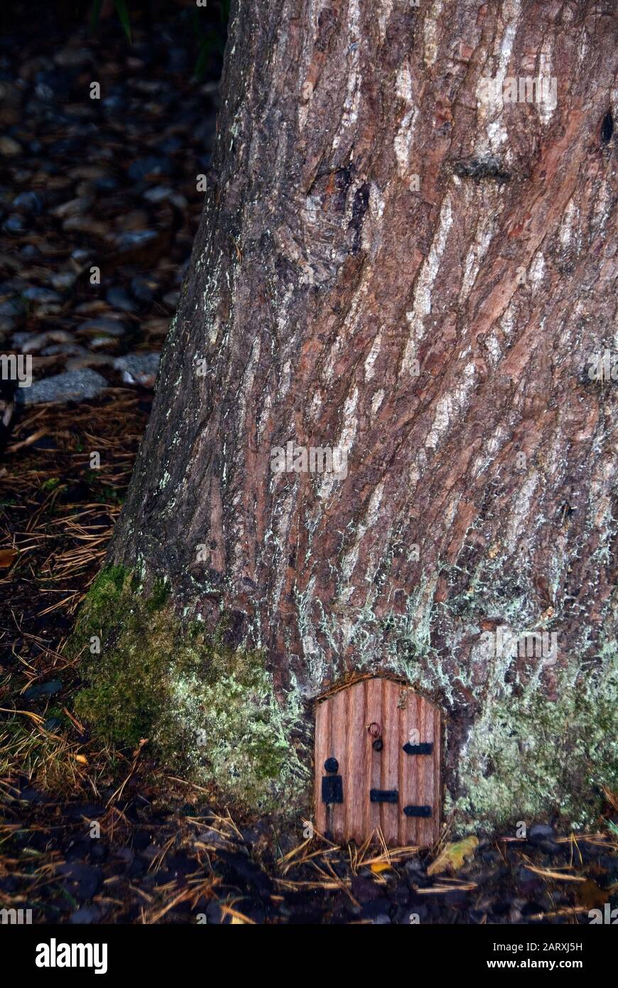 A little front-door at the base of a tree makes a fairy- house for the ...