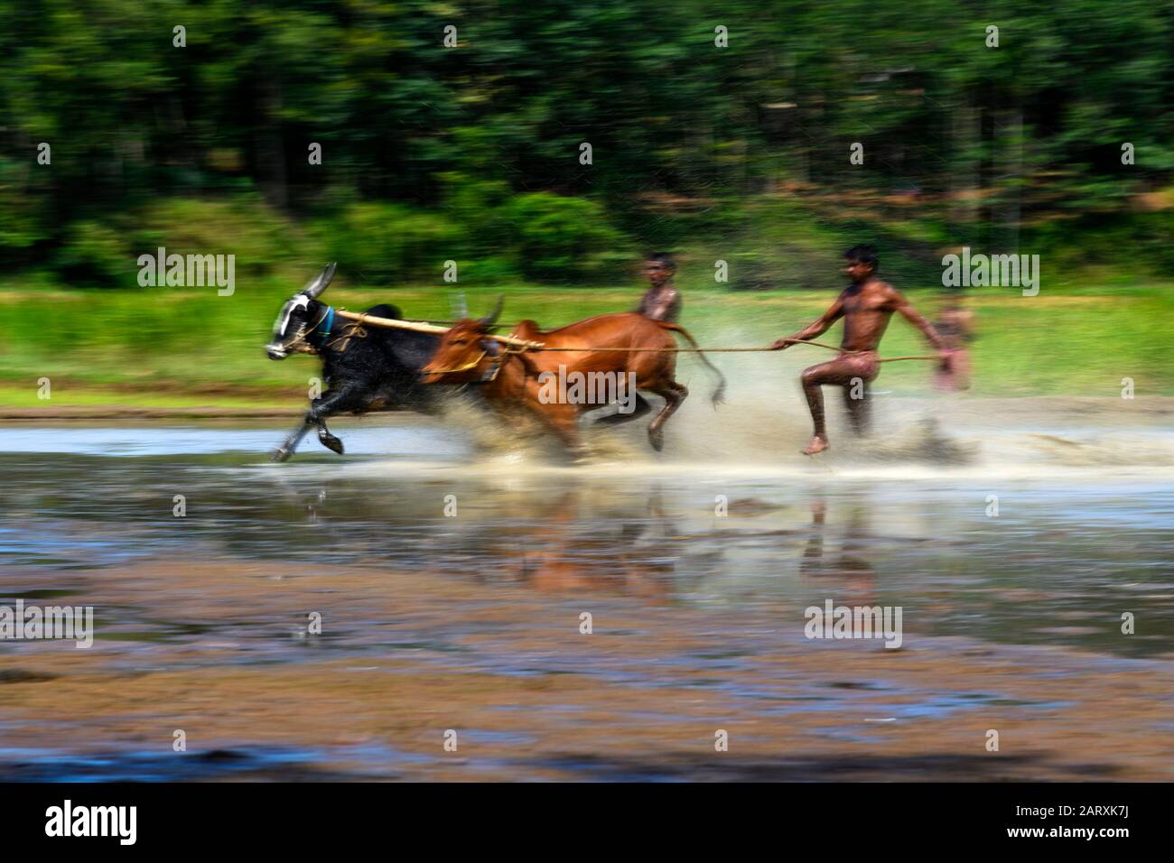 Kala poottu hi-res stock photography and images - Alamy