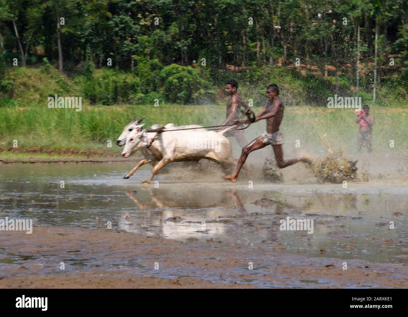 Kala poottu hi-res stock photography and images - Alamy