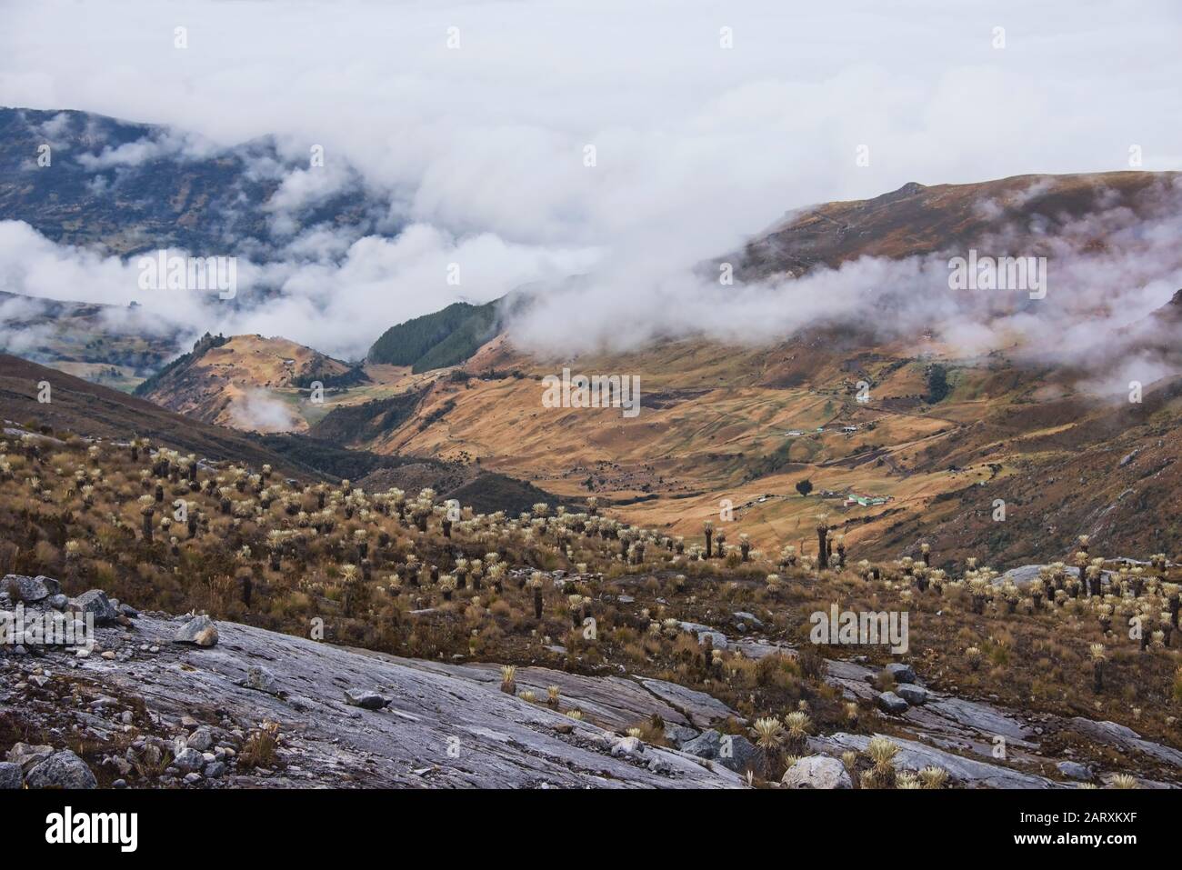 El cocuy colombia hi-res stock photography and images - Alamy