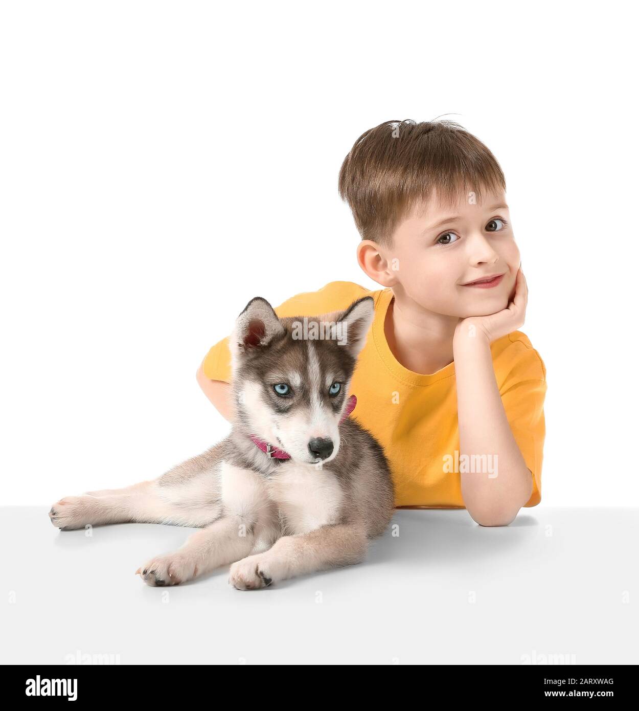 Little boy with cute husky puppy on white background Stock Photo - Alamy