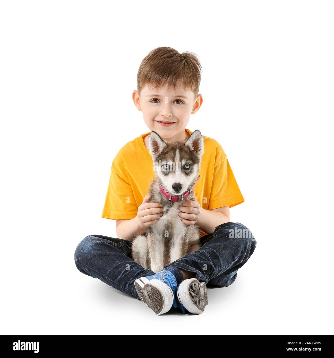 Little boy with cute husky puppy on white background Stock Photo - Alamy