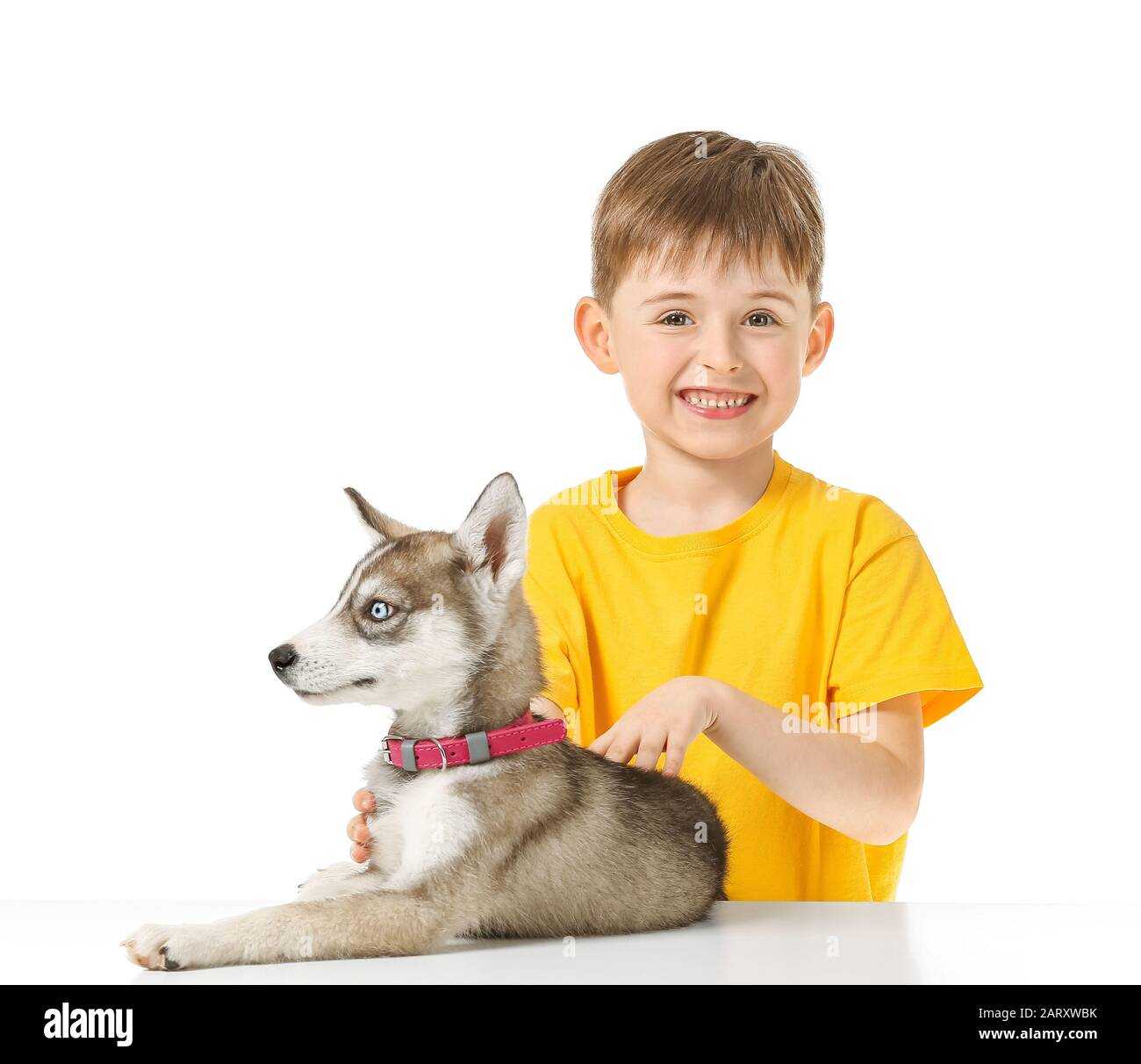Little boy with cute husky puppy on white background Stock Photo - Alamy