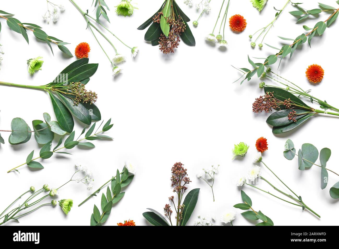 Composition with autumn flowers and leaves on white background Stock ...