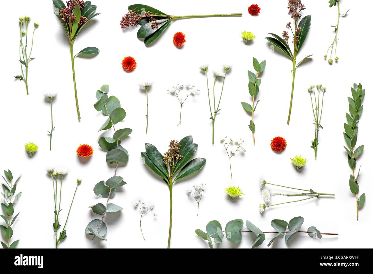 Composition with autumn flowers and leaves on white background Stock ...