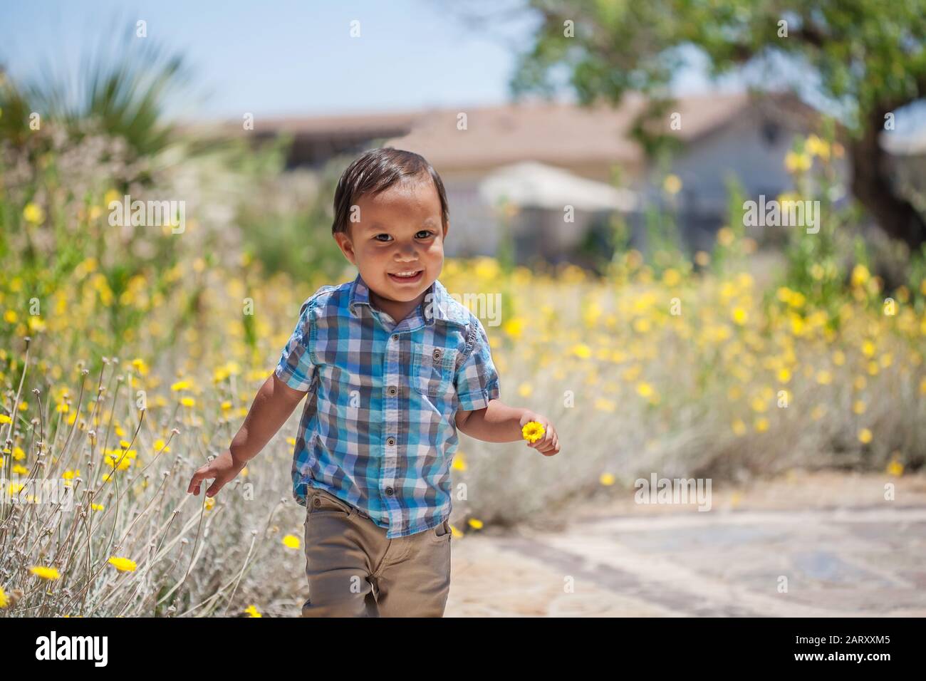 Strong boy hi-res stock photography and images - Alamy