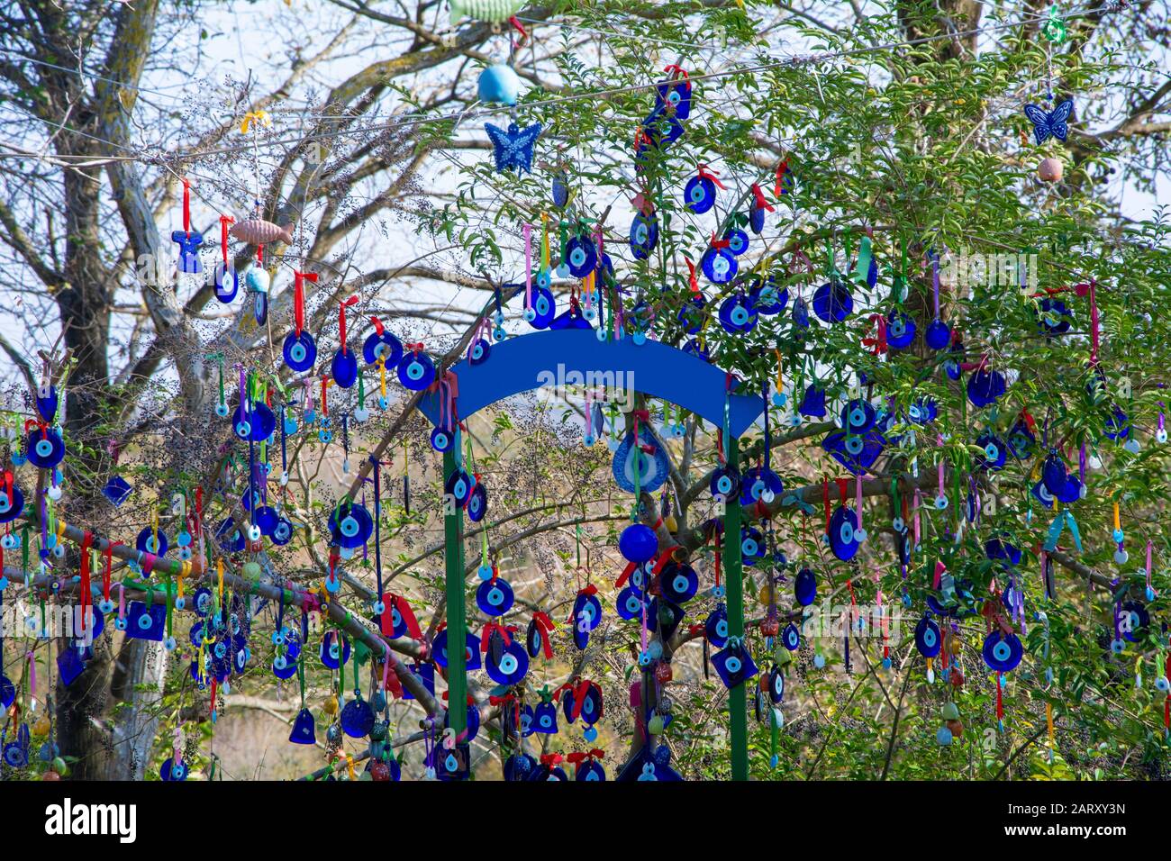 Evil eye tree hi-res stock photography and images - Alamy