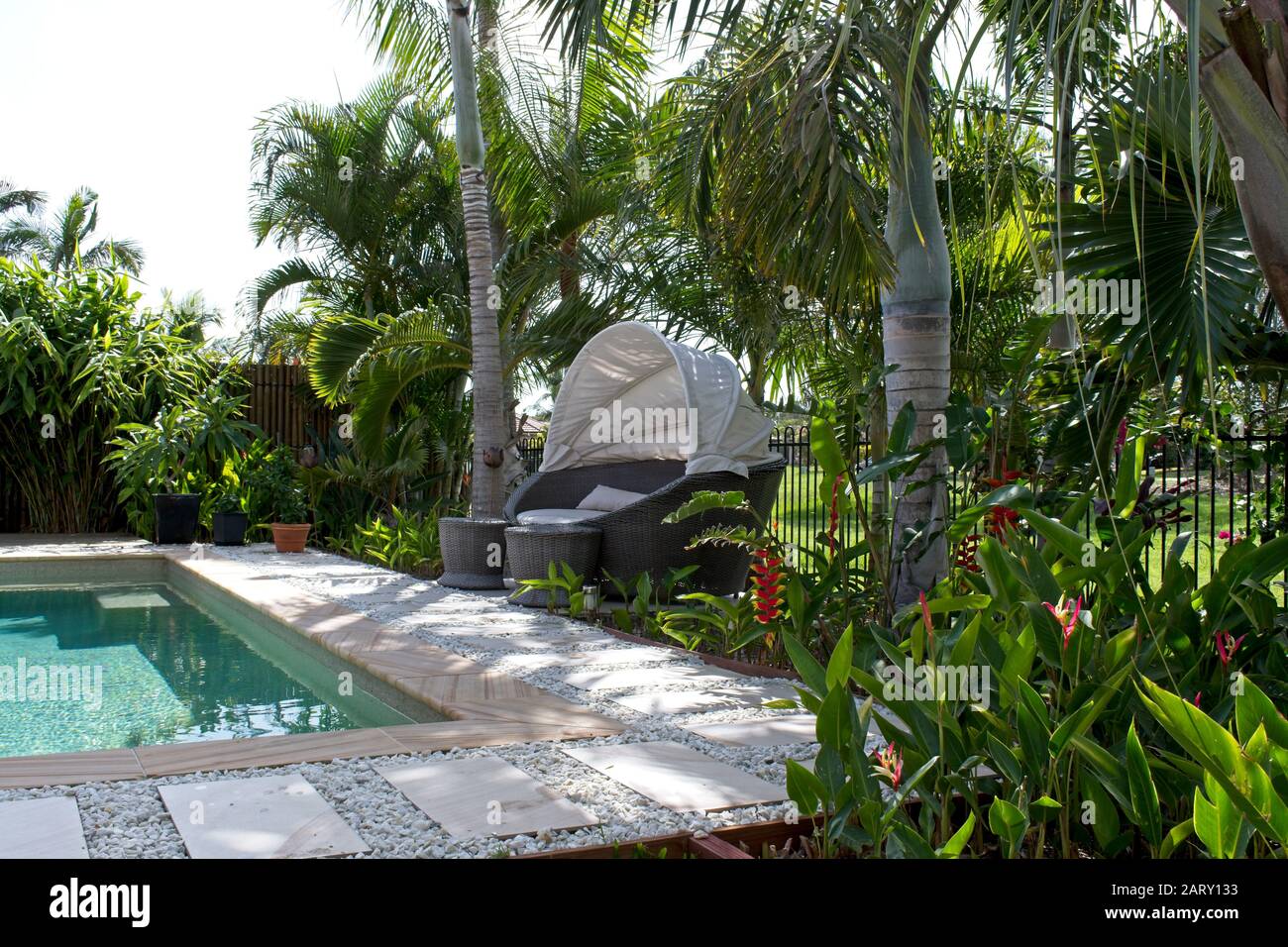 Tropical backyard with swimming pool in Queensland Australia Stock ...