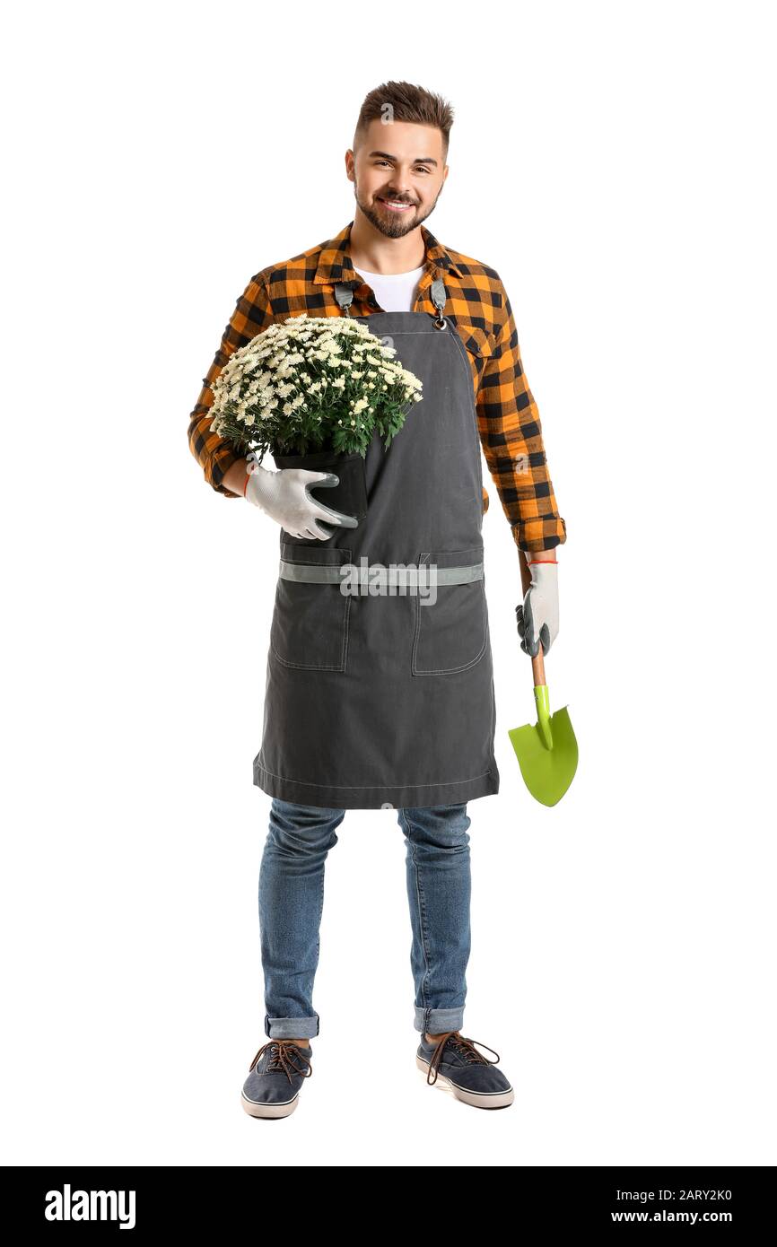 Handsome male gardener on white background Stock Photo - Alamy