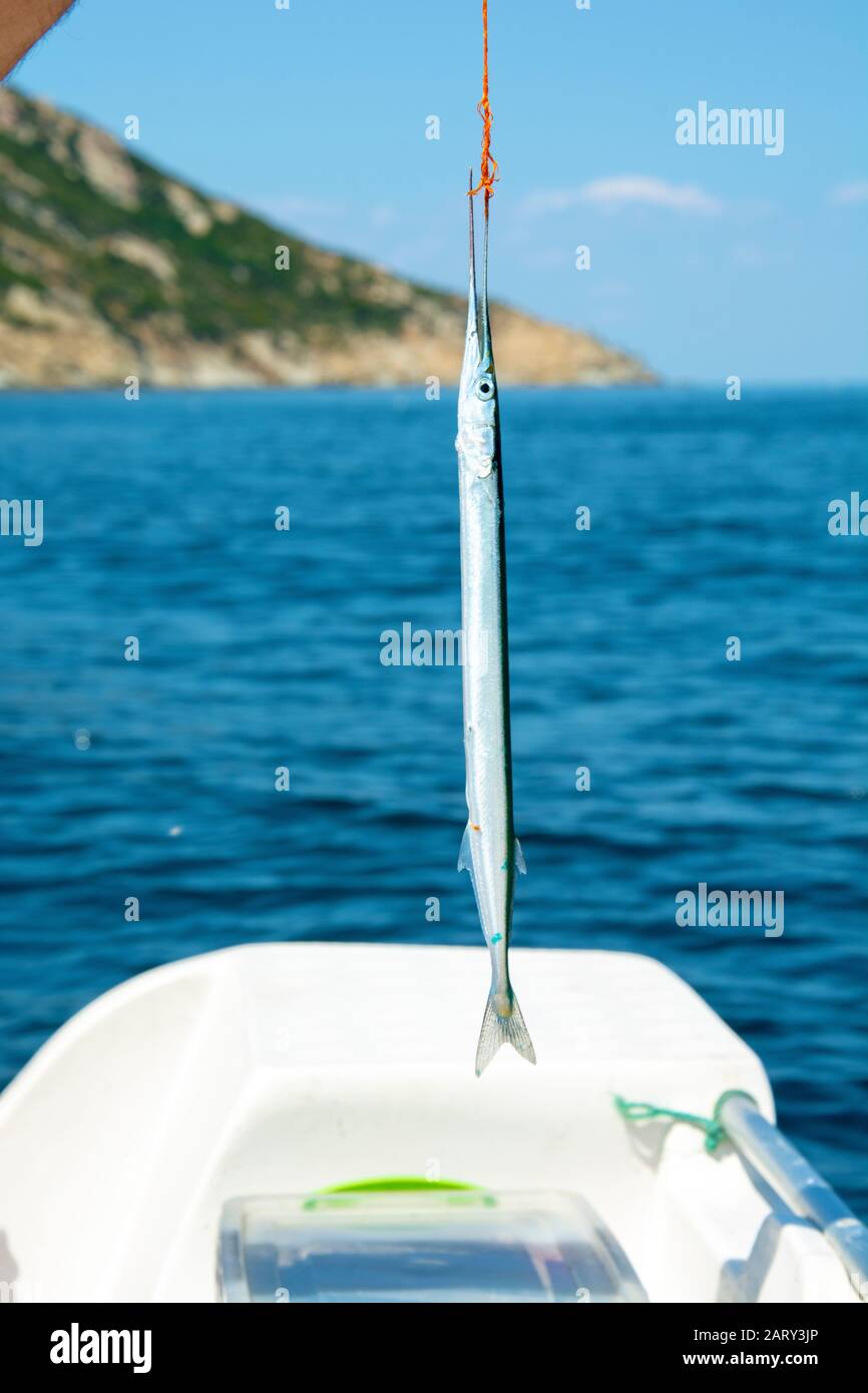 Fish hook finger hi-res stock photography and images - Alamy