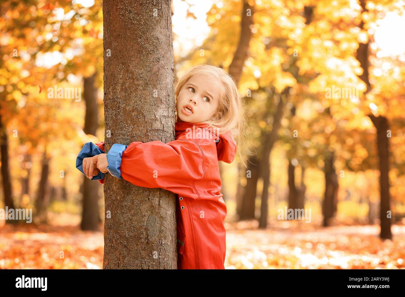 Cute little girl near tree in autumn park Stock Photo - Alamy