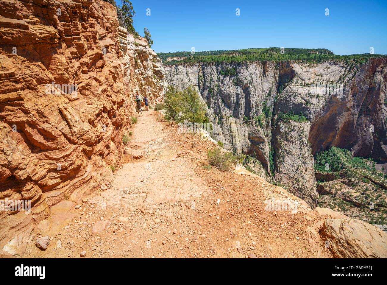 hiking the observation point trail in zion national park in the usa ...