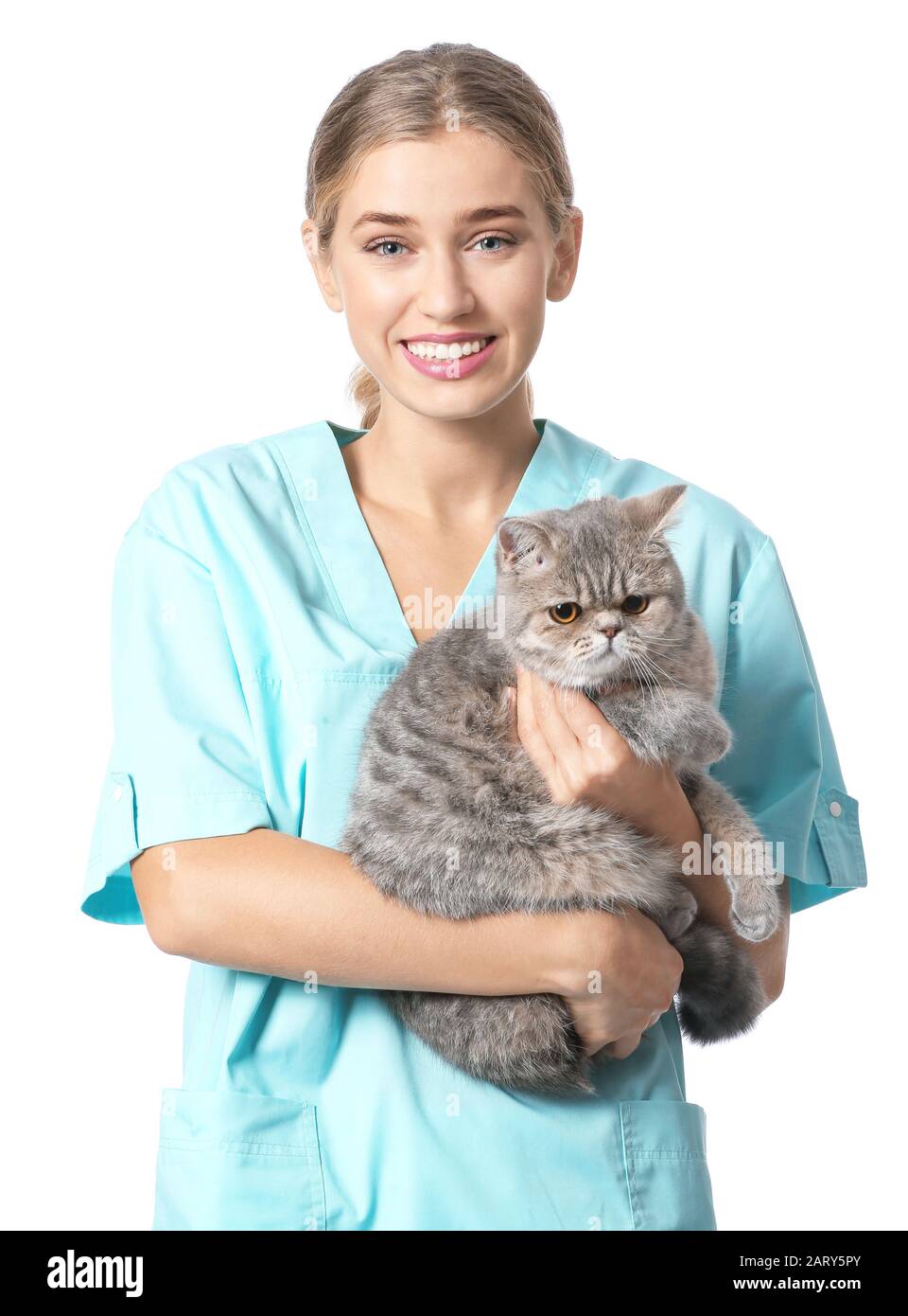 Veterinarian with cute cat on white background Stock Photo - Alamy