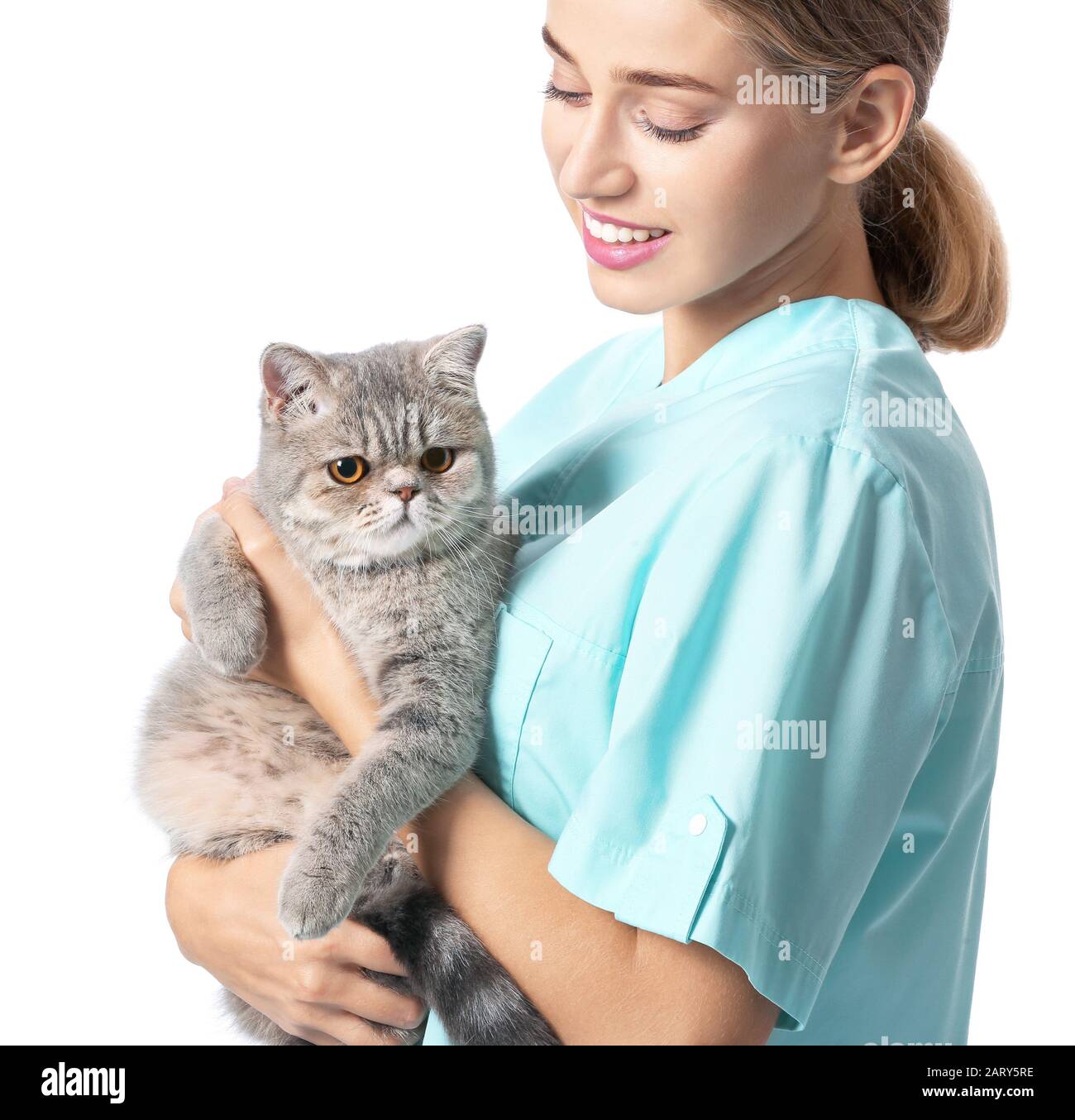 Veterinarian with cute cat on white background Stock Photo - Alamy