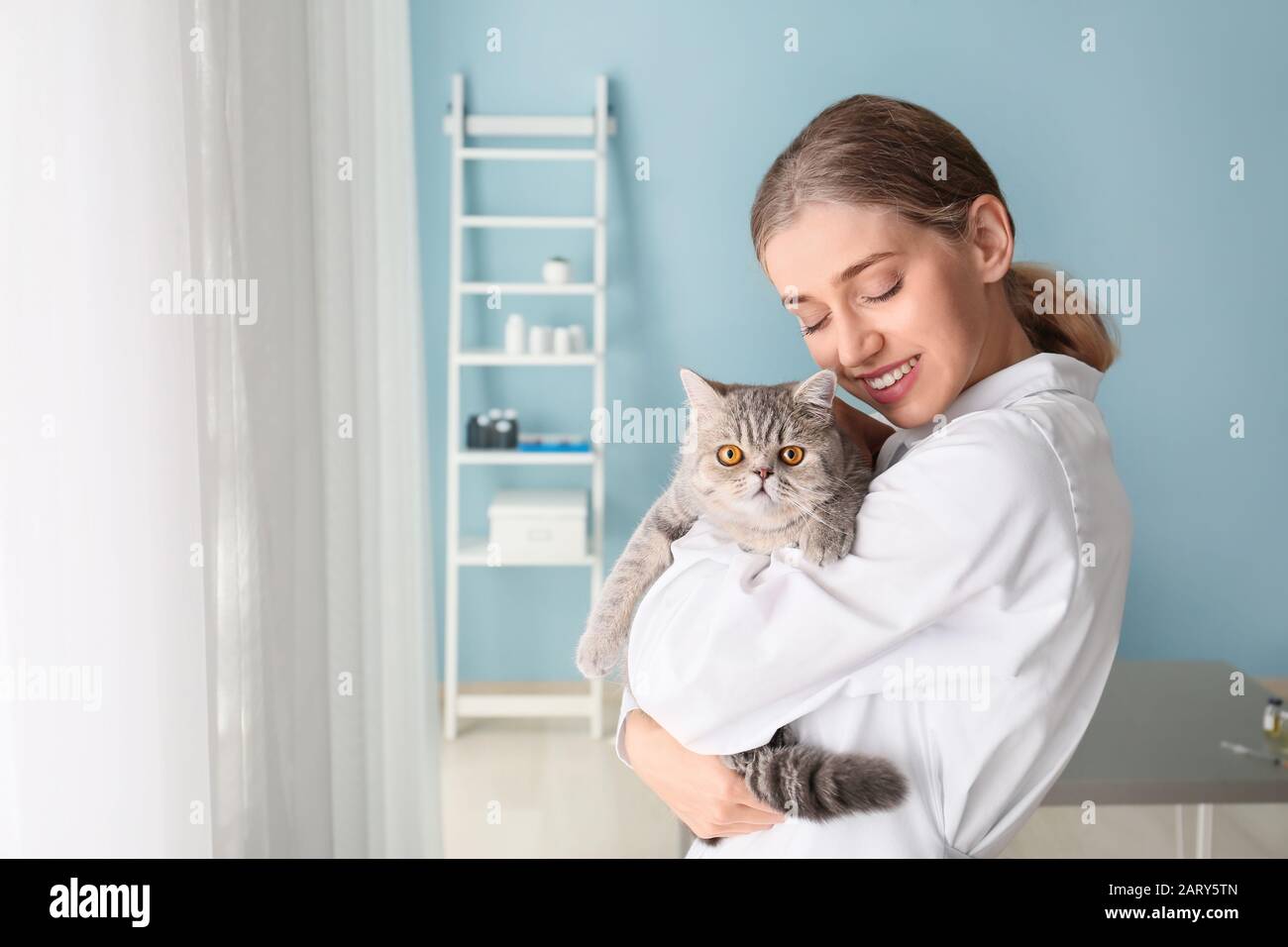 Veterinarian with cute cat in clinic Stock Photo - Alamy
