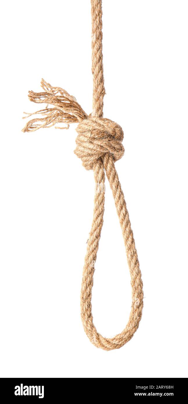 Rope with loop on white background Stock Photo - Alamy