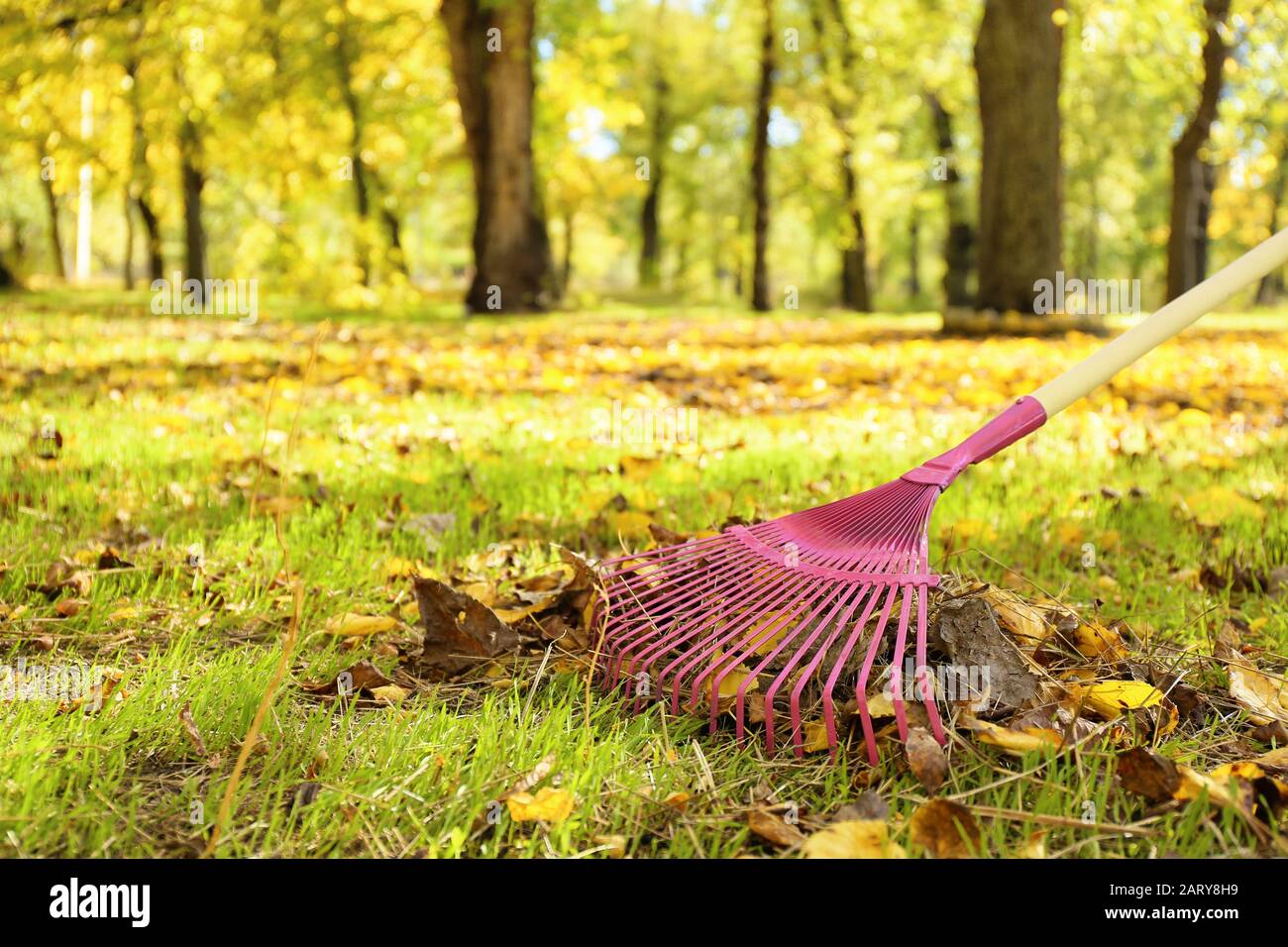 Gathering fallen leaves fan hi-res stock photography and images - Alamy
