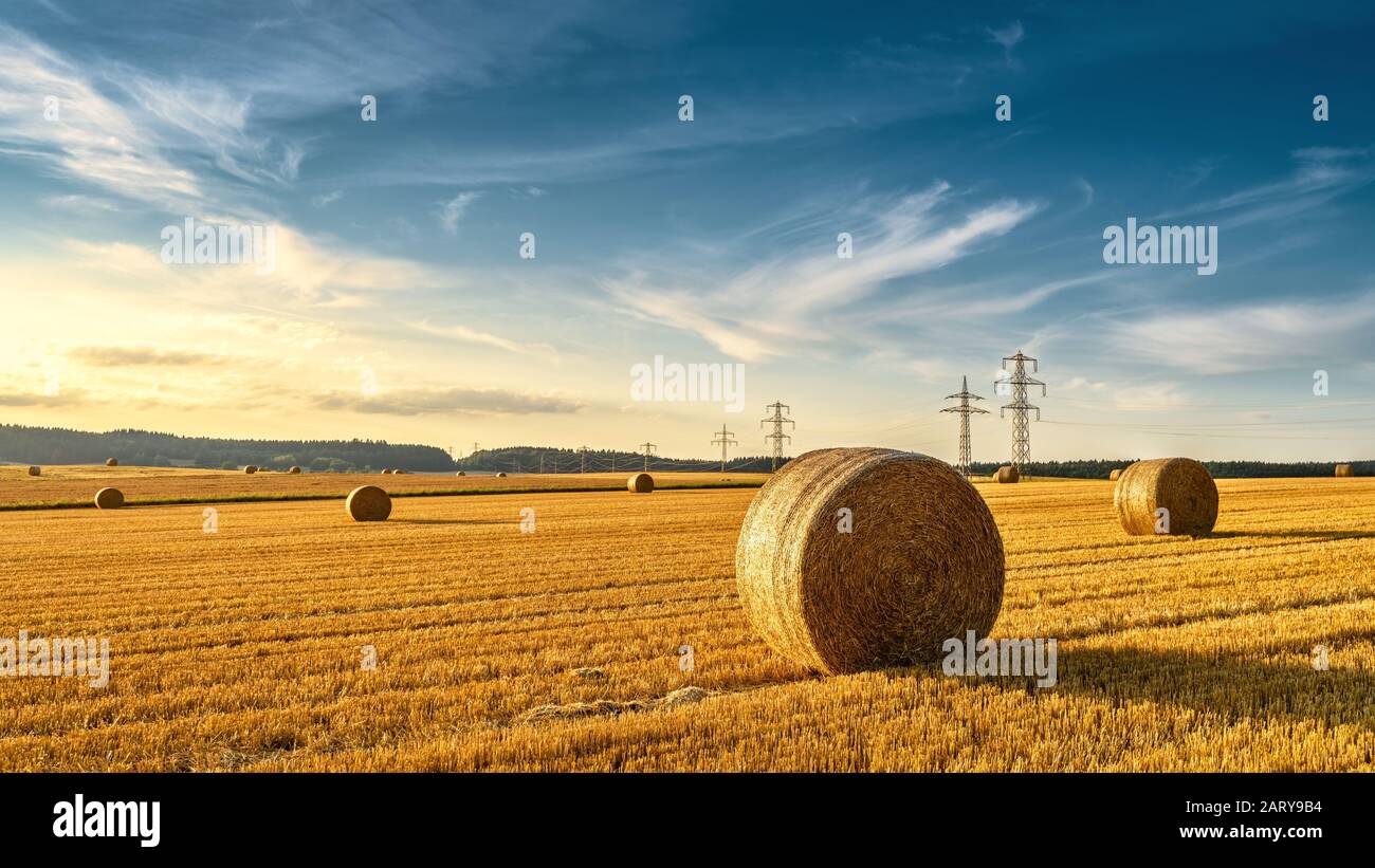 Hay bales on the golden agriculture field. Sunny landscape with round ...