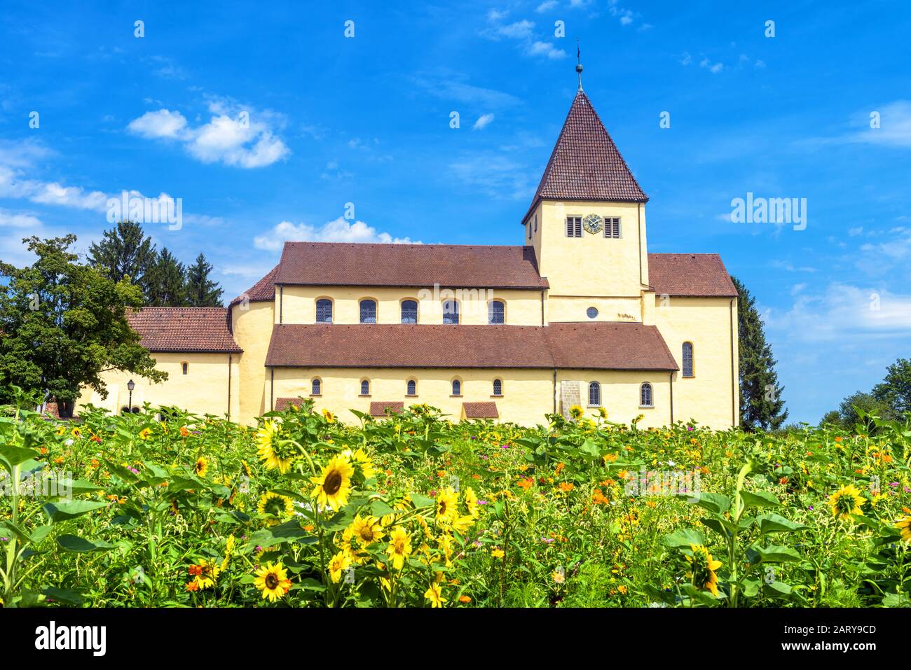 Reichenau island, germany hi-res stock photography and images - Alamy