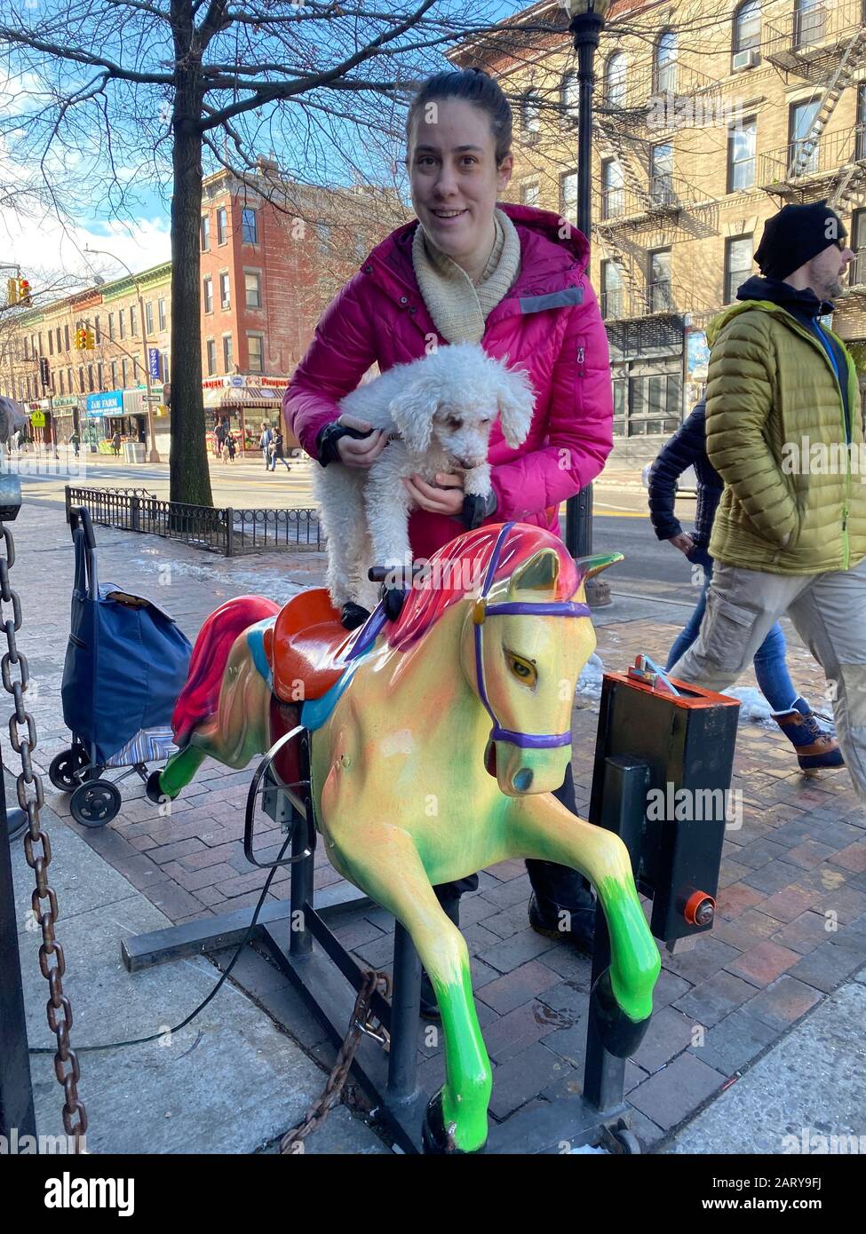 Dog about to ride a horse Stock Photo - Alamy