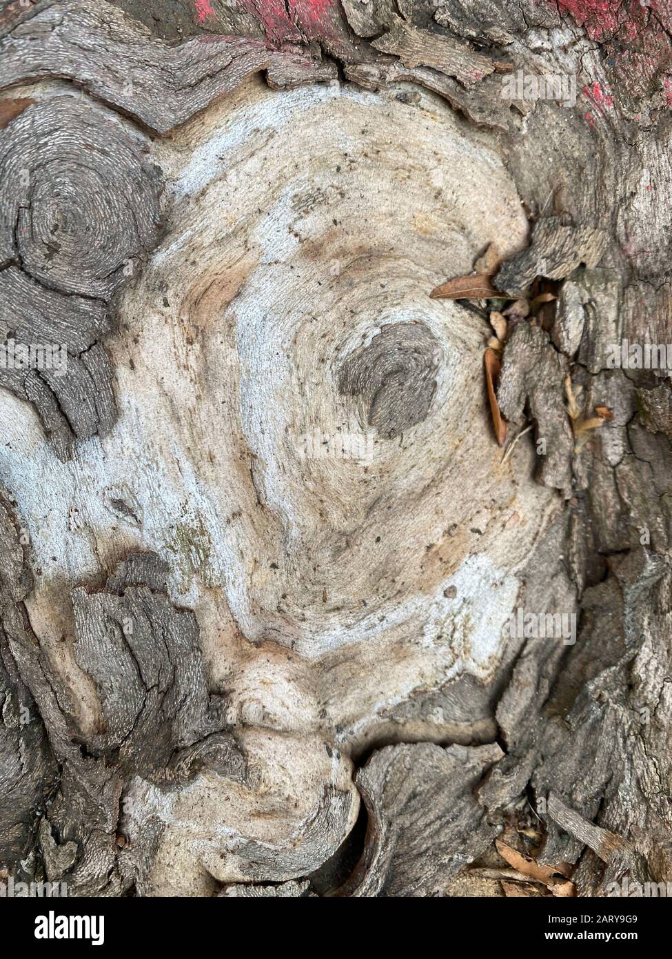 Brooklyn roots hi-res stock photography and images - Alamy