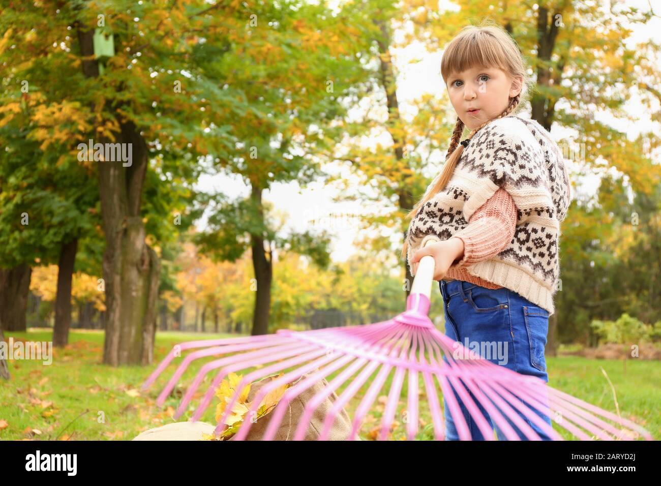 Little girl cleaning up autumn leaves outdoors Stock Photo - Alamy