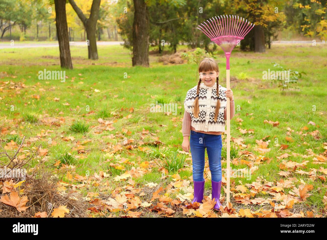 Little girl cleaning up autumn leaves outdoors Stock Photo - Alamy
