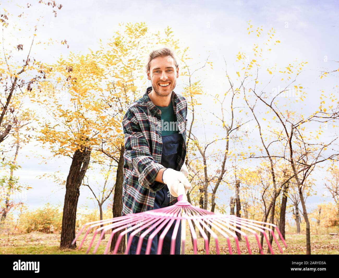 Man cleaning up hi-res stock photography and images - Alamy